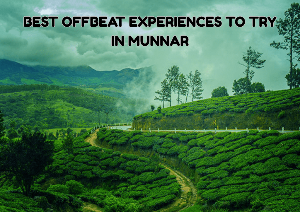 Munnar Like Never Before: A Soul-Stirring Guide to Offbeat Experiences ...